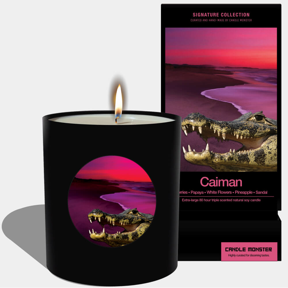 Caiman Deluxe 80hr Triple Scented Soy Candle 440g – Candle Monster