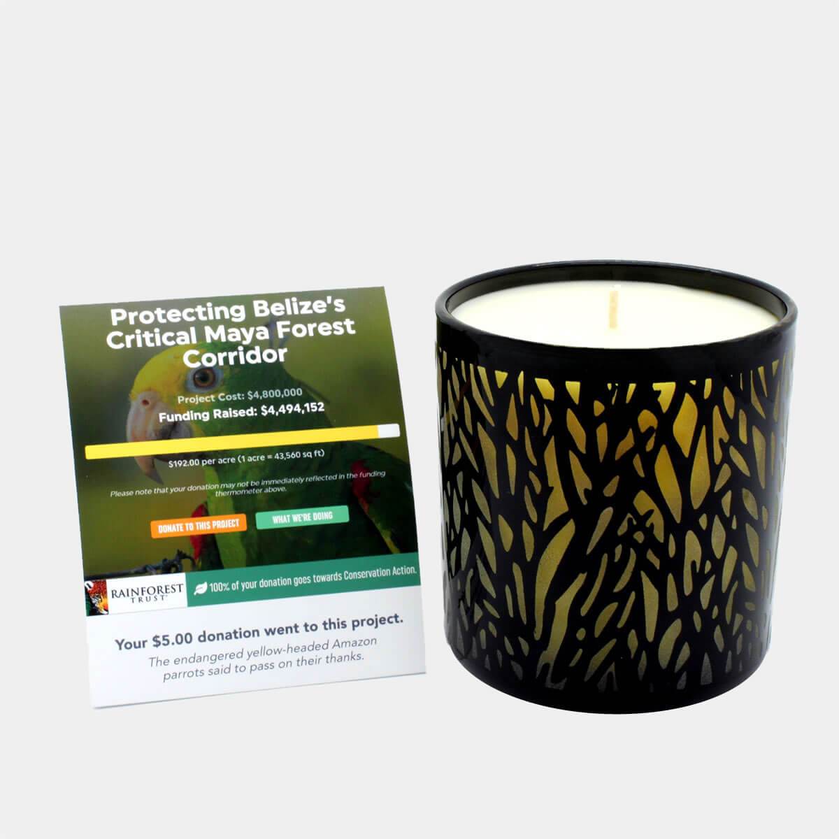 LTD Edition: Rainforest - 445g Extra Large Luxury Soy Candle | Candle ...